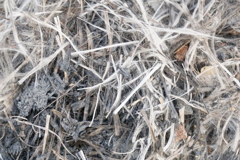 Ash on the ground stock image. Image of dirty, dust - 147348265