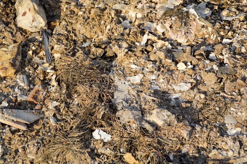 Ash on the ground stock image. Image of pollution, background - 78415137