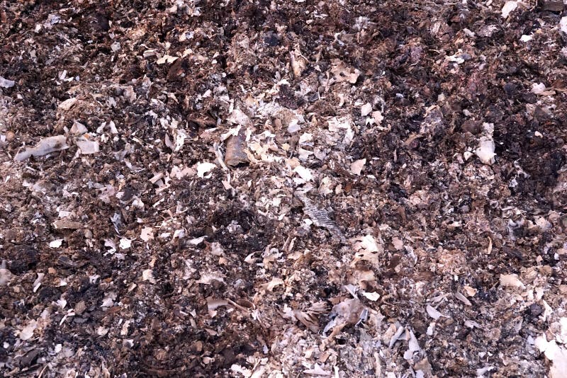 Ash on the ground stock image. Image of fire, smoke, bonfire - 89874775