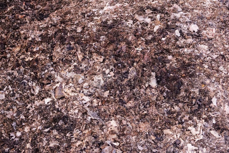 Ash on the ground stock image. Image of bonfire, burned - 93719679