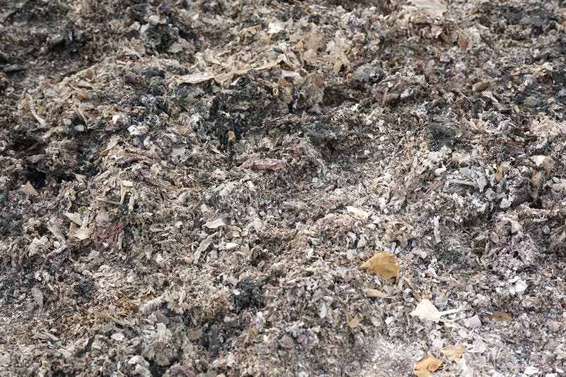 Ash on the ground stock photo. Image of smoke, ground - 144718190