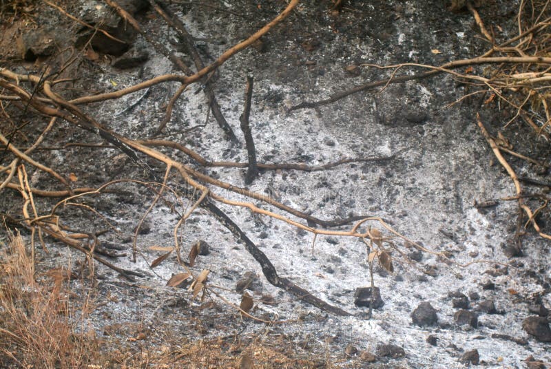 Ash on the ground stock photo. Image of flame, ashes - 150480102