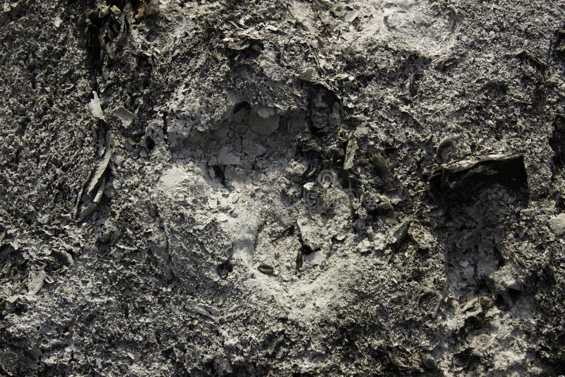 Ash on the ground stock photo. Image of cremation, dust - 50552908