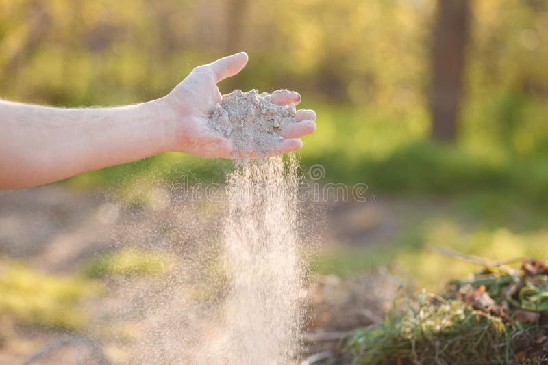 Ash in hand fertilizer stock image. Image of forest - 177938691
