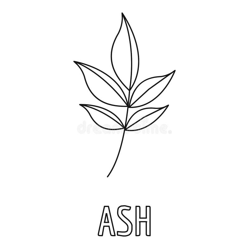 Ash Leaf Icon, Outline Style. Stock Illustration - Illustration of ...
