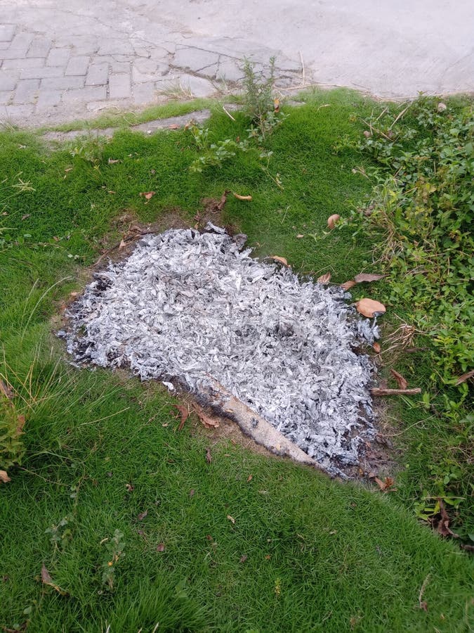 Ash burned leaves stock image. Image of leaves, fire - 278563009