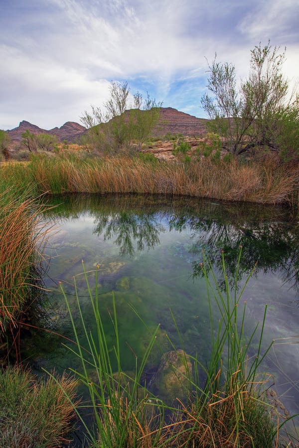 Ash Meadows National Wildlife Refuge In Nye County, Nevada Fotografia ...