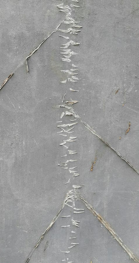 Ash Moss Stuck To the Ash Wall in the Shape of an Arrow Stock Image ...