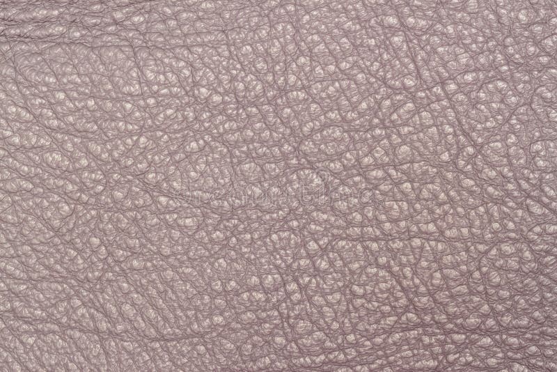 Ash Pink, Hazelnut, Trendy Color Leather Texture Background Macro Stock ...