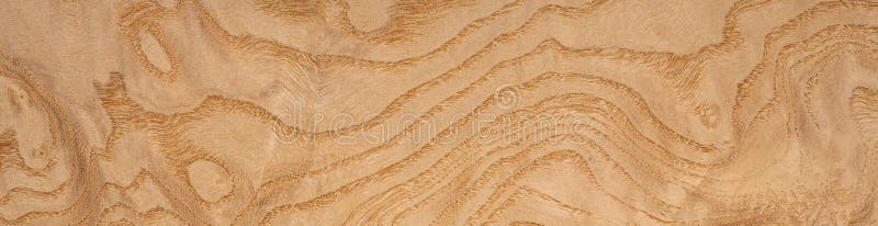 Ash Root Veneer Displaying Intricate Grain Patterns and Natural Wood ...