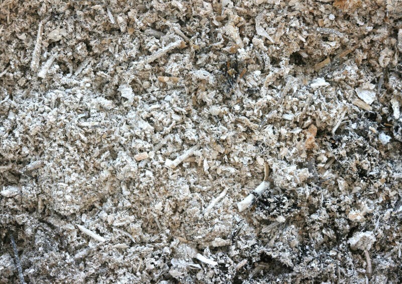 Ash texture stock photo. Image of macro, closeup, detail - 22322394