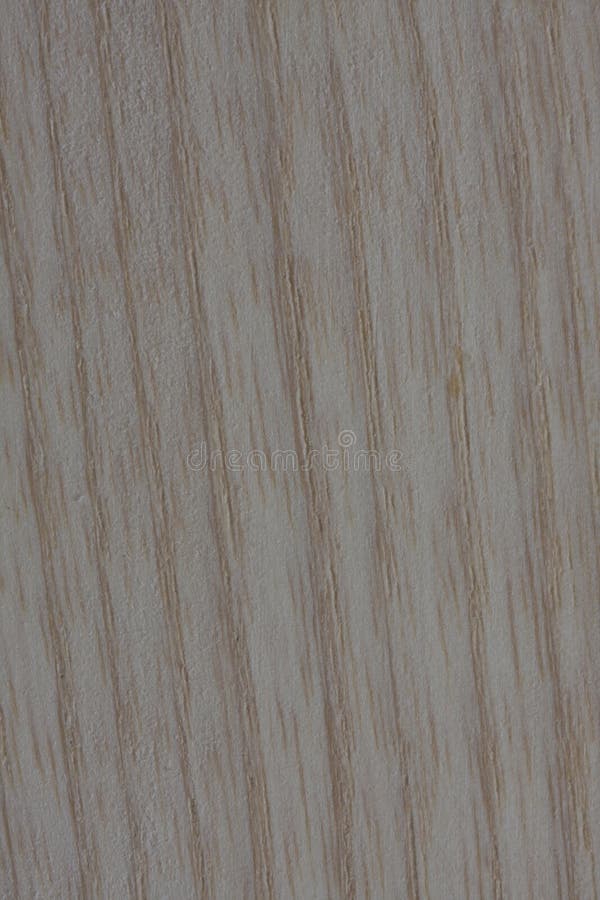Ash texture stock photo. Image of timber, texture, material - 6614316