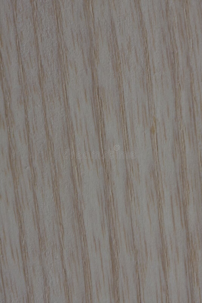 44,618 Ash Texture Stock Photos - Free & Royalty-Free Stock Photos from ...