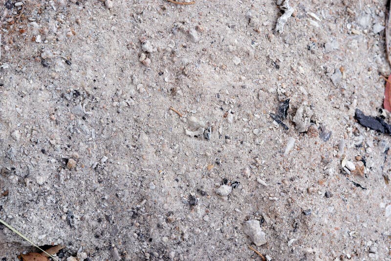 Ash texture background stock image. Image of template - 194036467