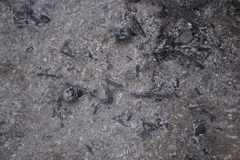 Ash texture stock image. Image of burnt, empty, broken - 87986341