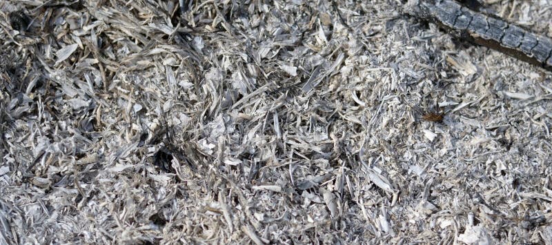 Ash Texture.wood Ash Texture Stock Photo - Image of fire, dust: 222744520