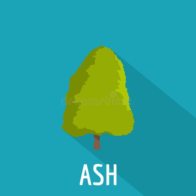 Ash tree icon, flat style stock illustration. Illustration of august ...