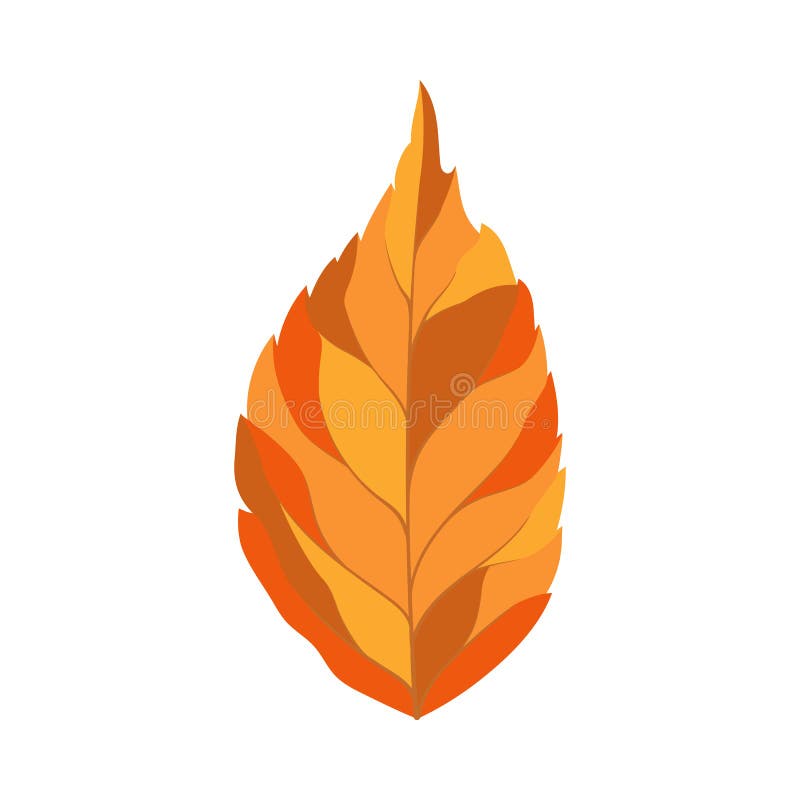 Ash-Tree Leaf stock vector. Illustration of bright, design - 258252822