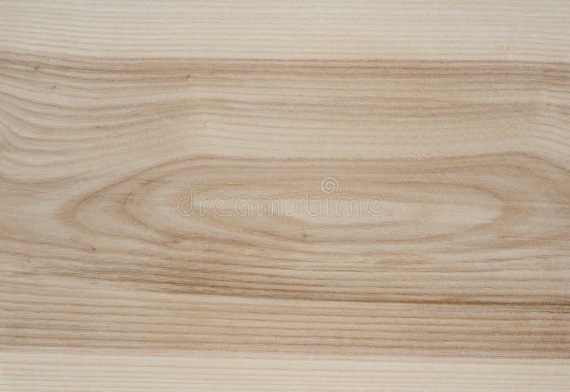 Ash tree wood texture stock photo. Image of horizontal - 121252612
