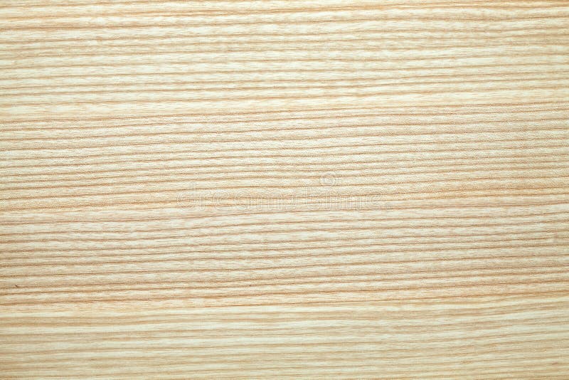 Ash wood texture stock image. Image of close, wooden - 54108161