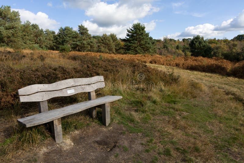 ASHDOWN FOREST, SUSSEX/UK - OCTOBER 17 : Bench in Ashdown Forest ...