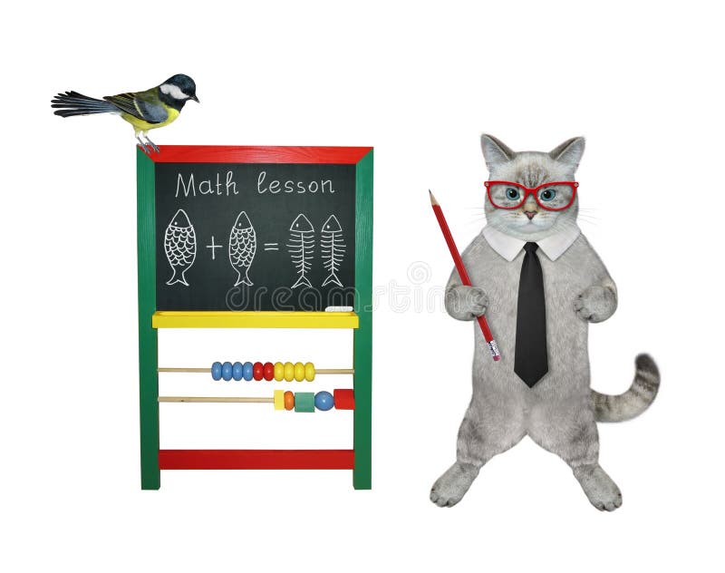 134 Cat Math Stock Photos - Free & Royalty-Free Stock Photos from ...