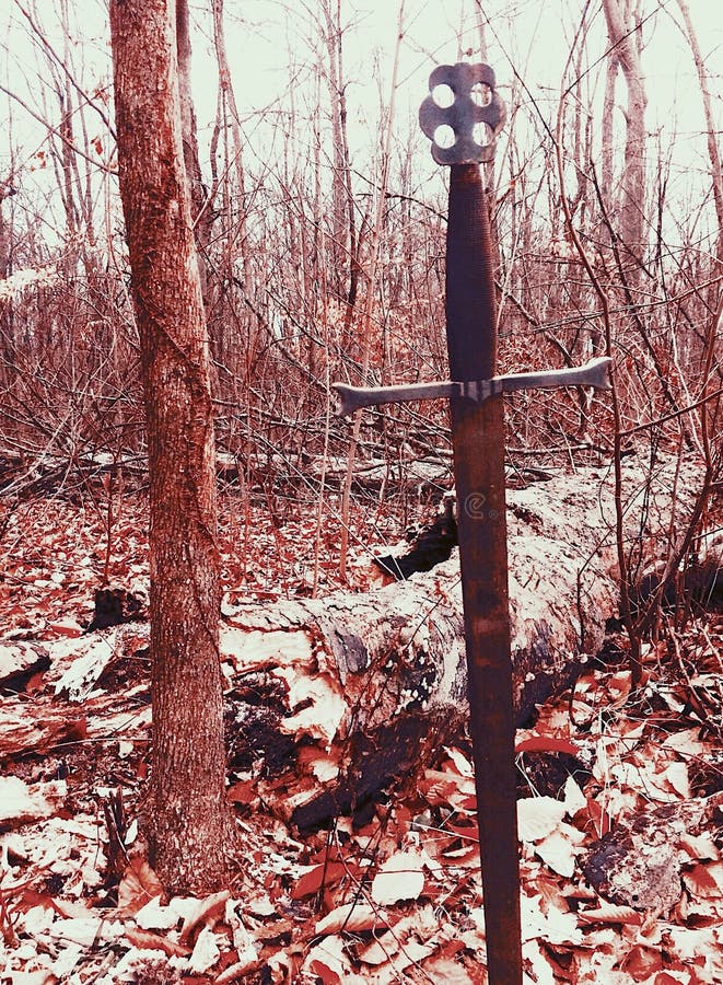 Ashen One stock image. Image of sword, forest, knight - 121167573