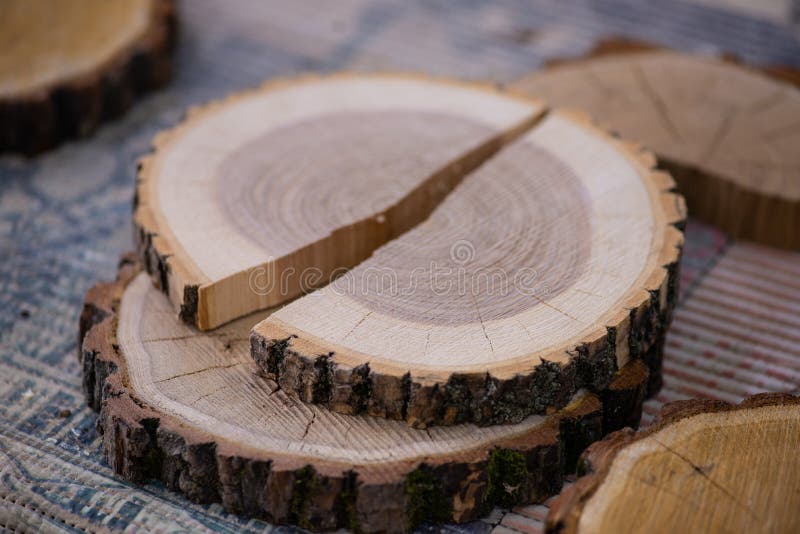Ashen Tree Cross Sections, Top View. Wood Textures. Tree Trunk Close-up ...