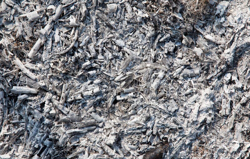 Ashes stock photo. Image of forest, environment, campfire - 19325000