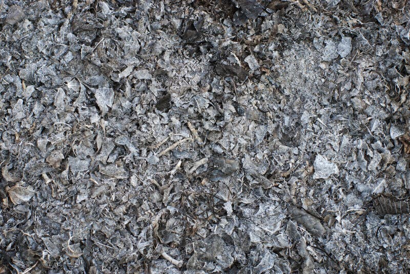 Ashes stock image. Image of abstract, fall, rough, texture - 22042015