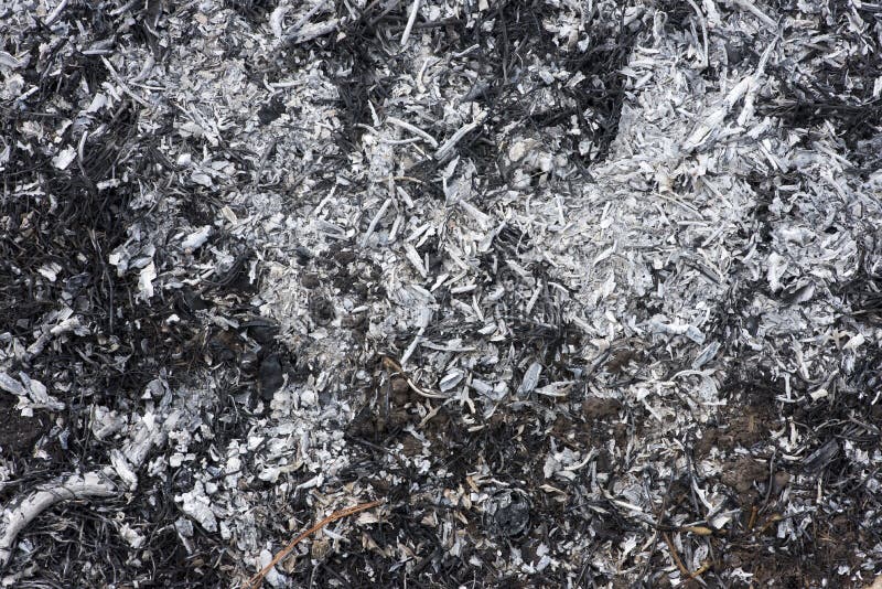 Ashes Background stock photo. Image of ashes, burn, grunge - 30395114