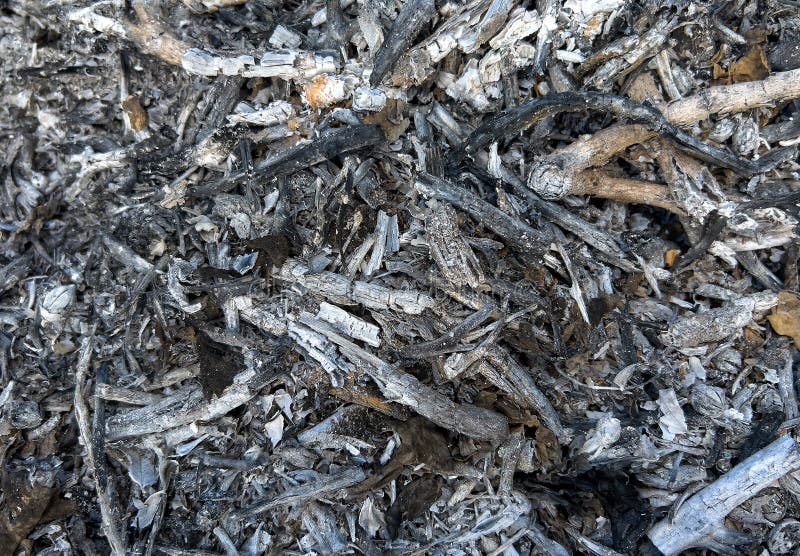 The Ashes Burned in the Fire, the Embers Remaining after the Fire Stock ...