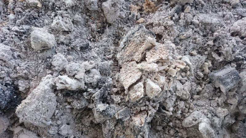 Ashes Burned Wood Stock Photos - Download 926 Royalty Free Photos