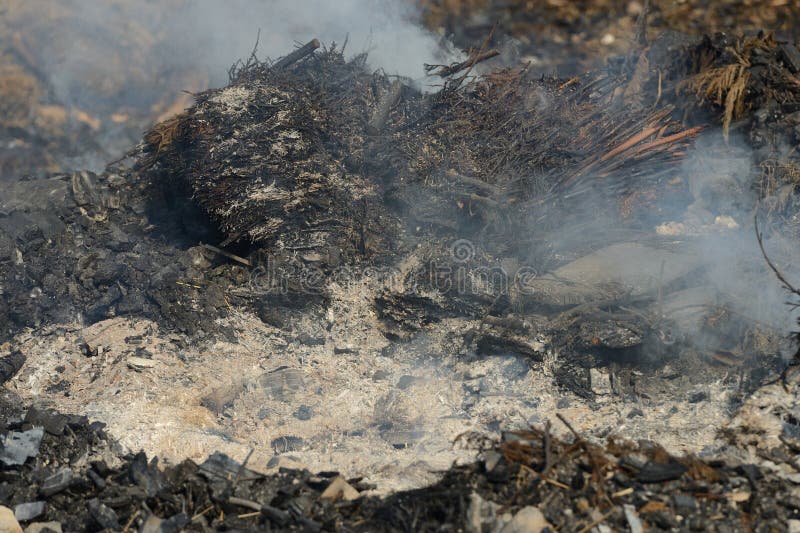 Ashes and Ashes from the Extinct Fire Stock Image - Image of destroyed ...