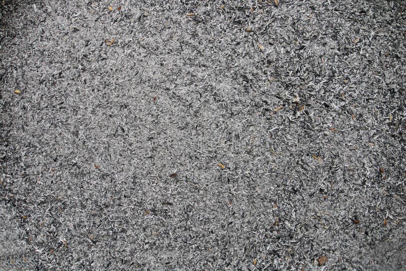 Burnt rice field stock image. Image of ecology, thailand - 30786027