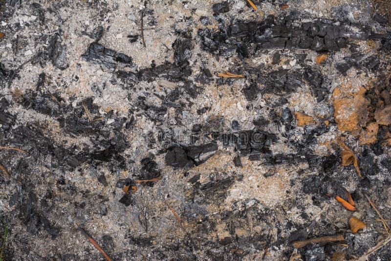 Ashes texture stock photo. Image of burnt, fire, ashes - 86712208