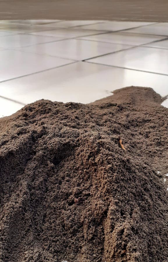 Ashfall stock photo. Image of blur, taal, ashfall, volcano - 174250208