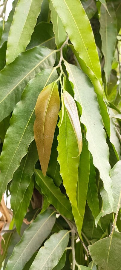 286 Hd Image Download Stock Photos - Free & Royalty-Free Stock Photos ...