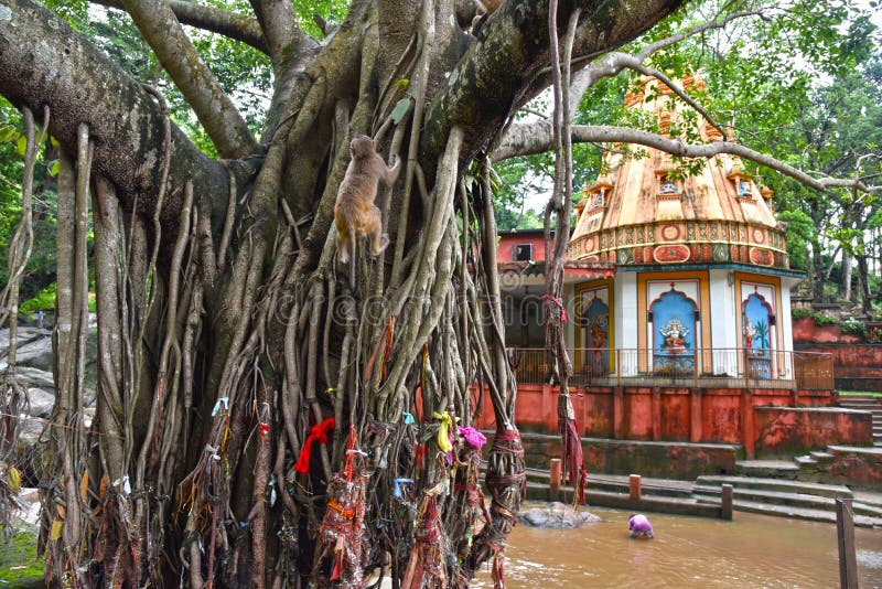 Ashram de Vashistha imagen de archivo editorial. Imagen de lifestyle ...