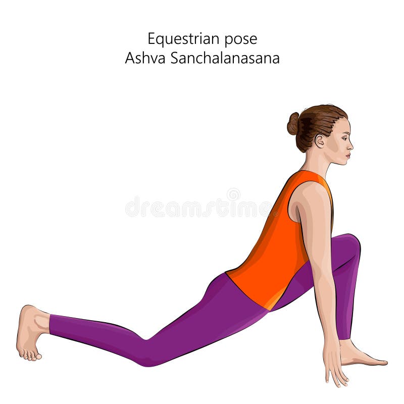 Sanchalanasana Pose Stock Illustrations – 34 Sanchalanasana Pose Stock ...