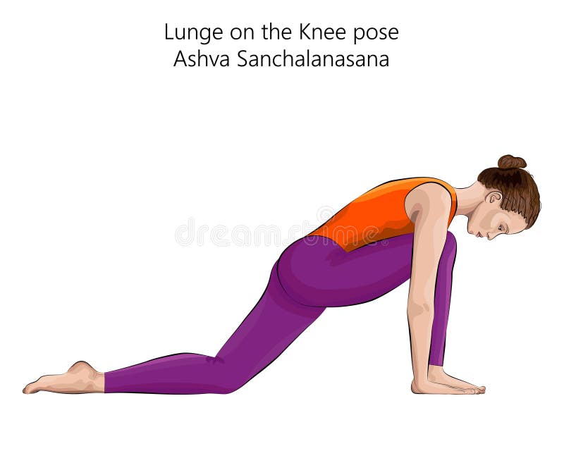 Sanchalanasana Pose Stock Illustrations – 34 Sanchalanasana Pose Stock ...