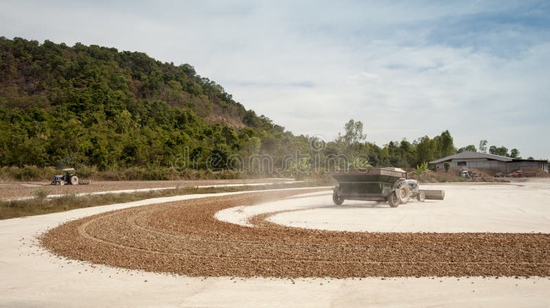 Asia Farming and Agriculture Stock Photo - Image of chinese, asia ...