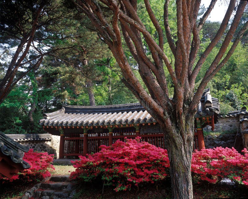 Asia Images stock image. Image of spring, shrine, inca - 81623967
