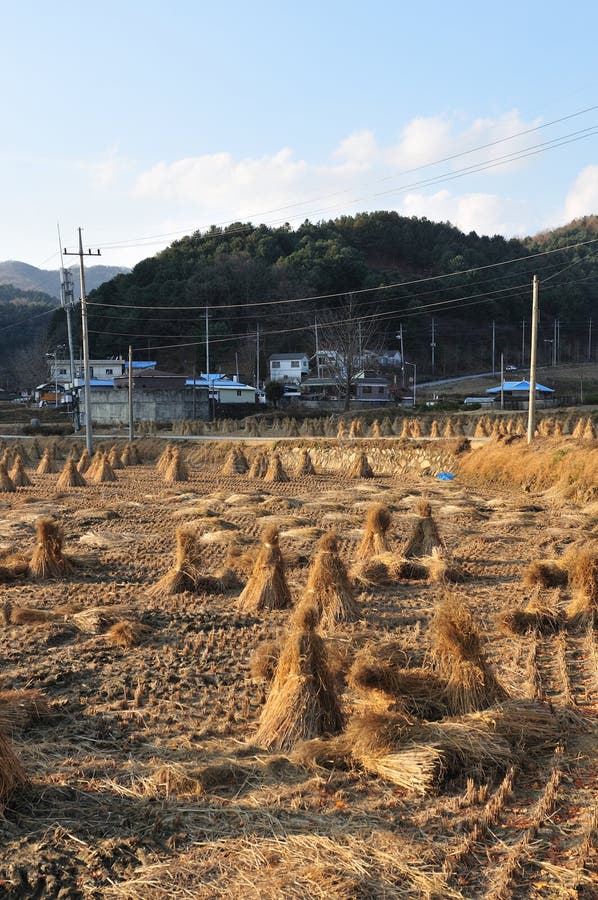 Asia editorial photography. Image of road, neck, country - 82425237