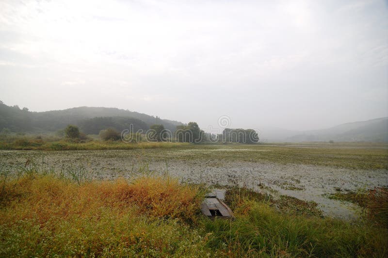 Asia stock photo. Image of swamp, outdoors, scenic, water - 82434908