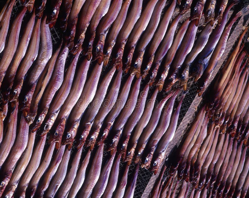 Asia stock photo. Image of razor, climate, asia, korea - 81597672