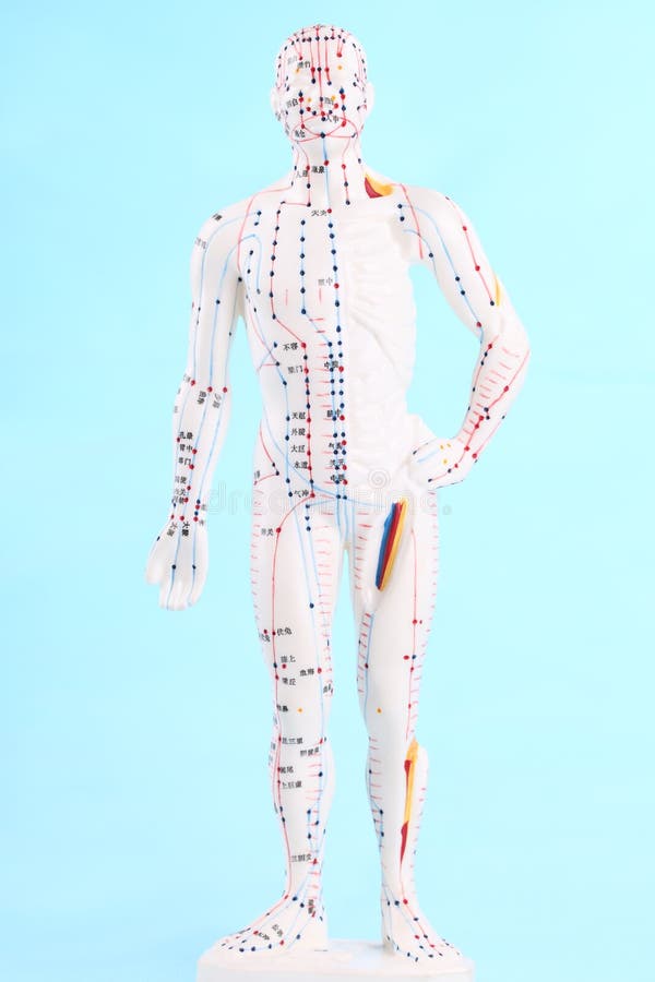Acupuncture figure stock photo. Image of medicine, human - 1659752