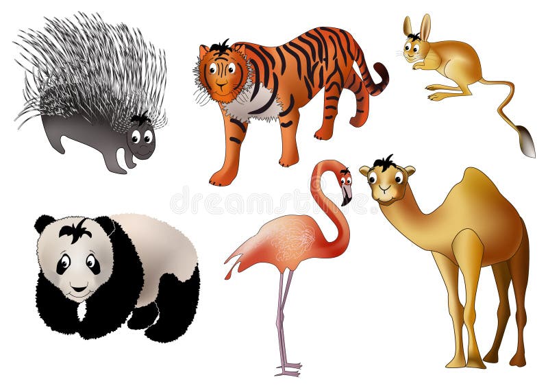 Asian animals () stock vector. Illustration of porcupine - 18303415