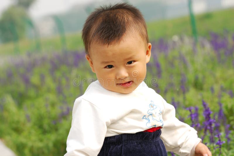 Asian baby stock photo. Image of adorable, baby, beautiful - 7017654
