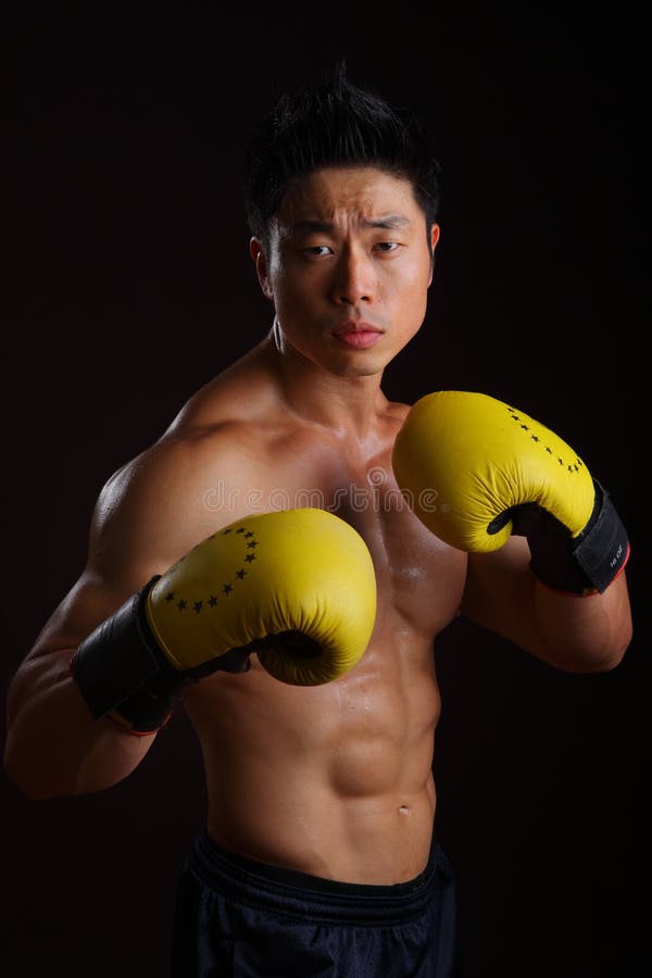Boxer Series stock image. Image of asian, horizontal, ready - 171383